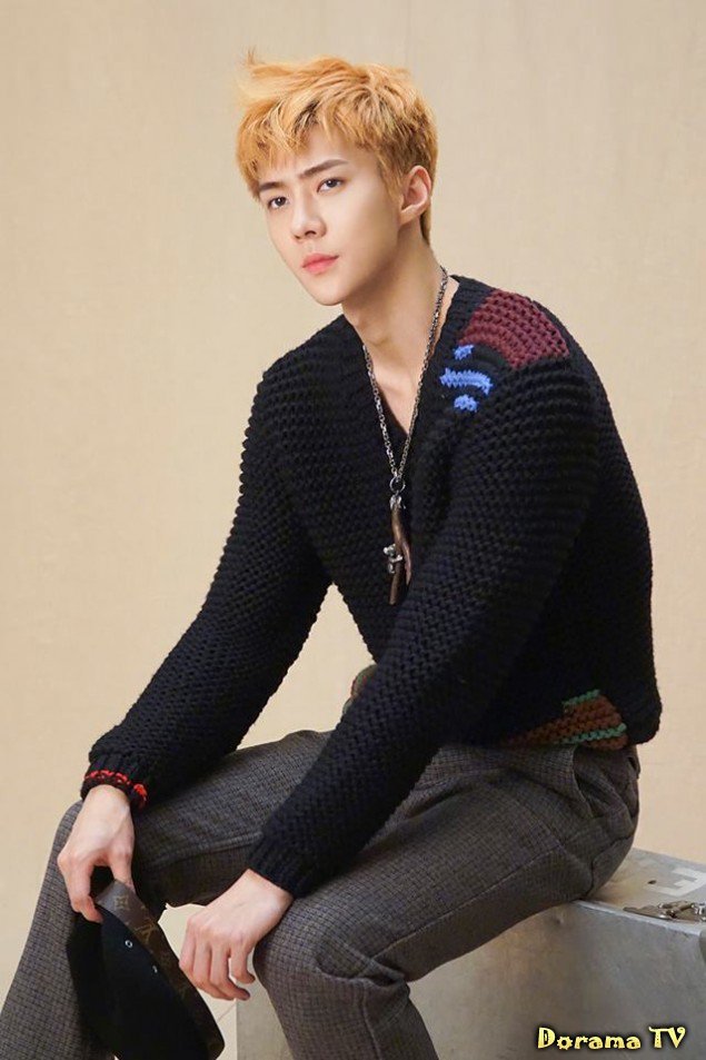 Актер О Се Хун (Oh Se Hun: 오세훈), список дорам. Сортировка по году ...