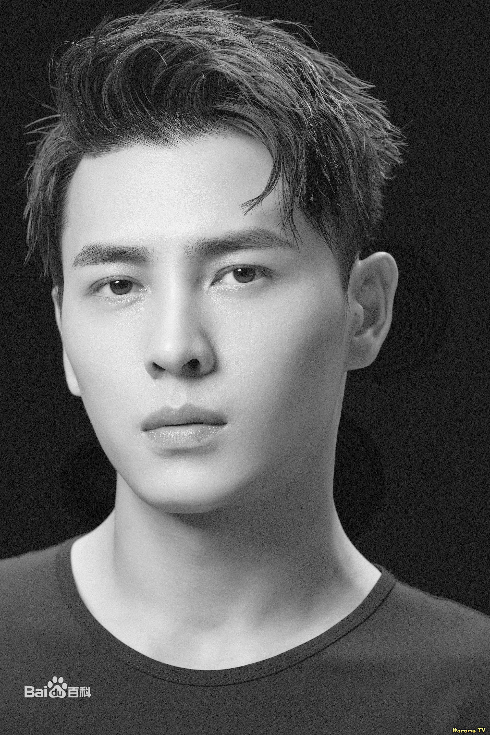 Актер Хун Яо (Hong Yao: 洪尧), список дорам. Сортировка по году написания ...