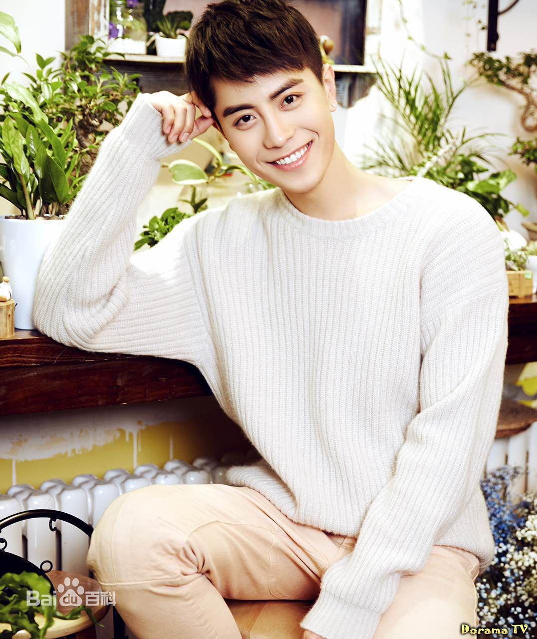 Актер Фэн Ли Цзюнь (Feng Li Jun: 冯荔军), список дорам. Сортировка по году ...