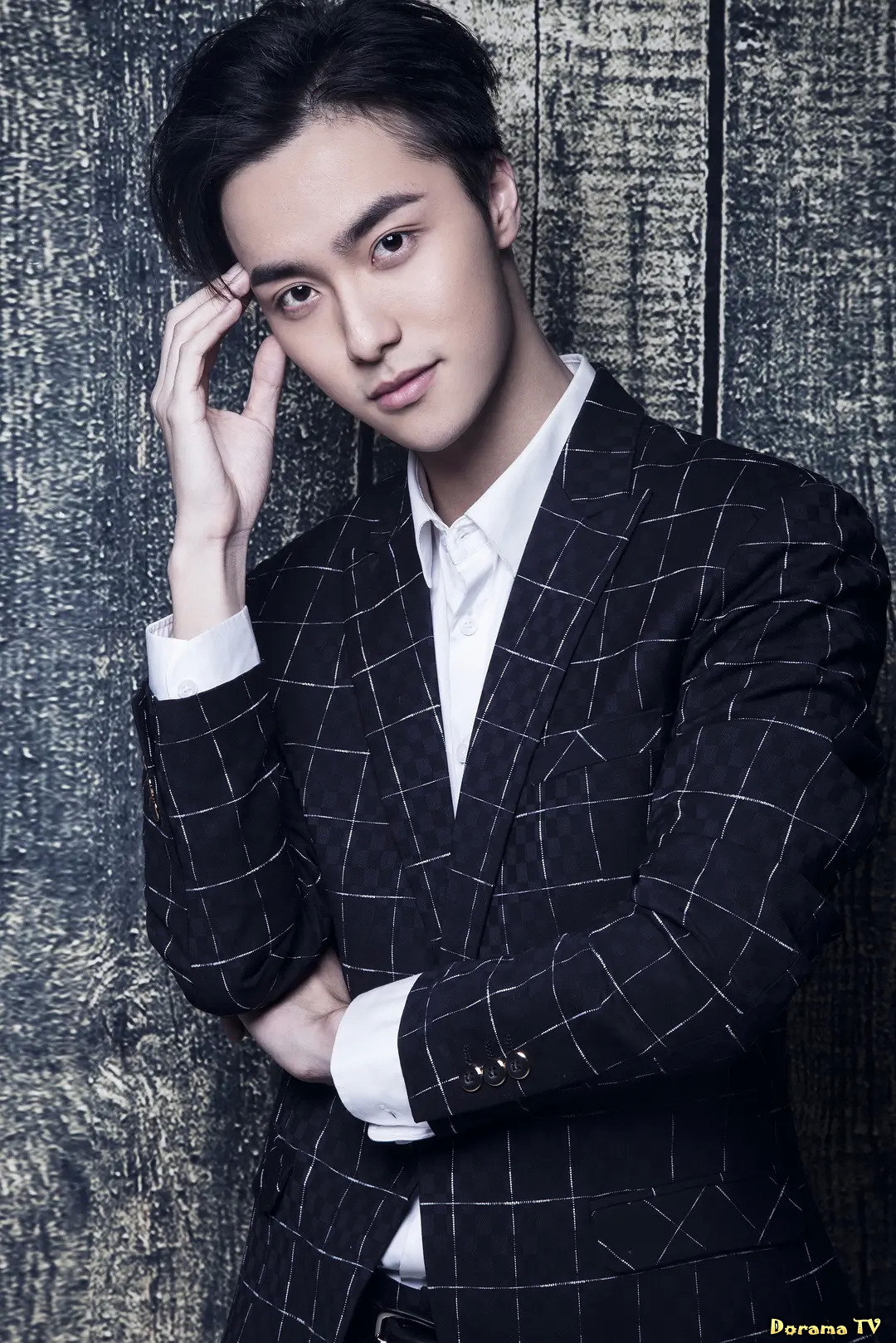 Актер Гао Хань (Gao Han: 高寒), список дорам. Сортировка по году ...