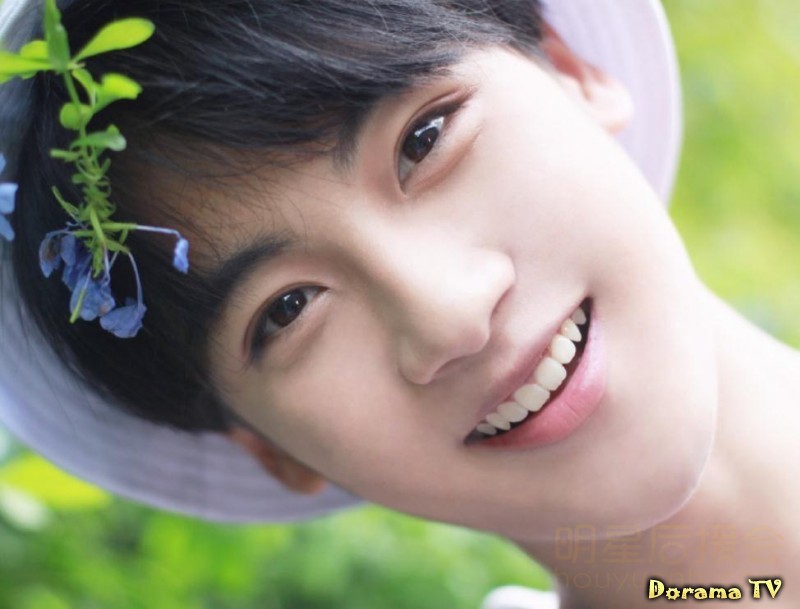 Актер Бянь Чэн (Bian Cheng: 边程), список дорам. Сортировка по году ...