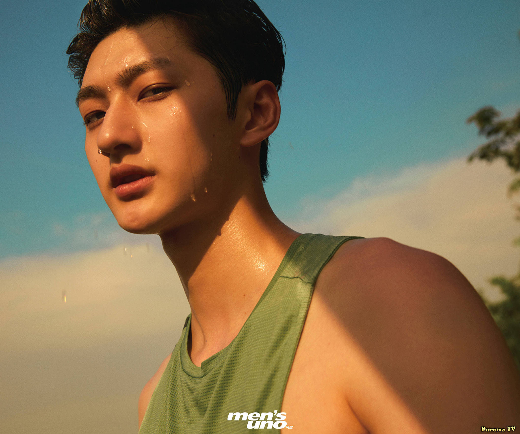 Актер Лю Тэ (Terry Liu: Liu Te), список дорам. Сортировка по году ...