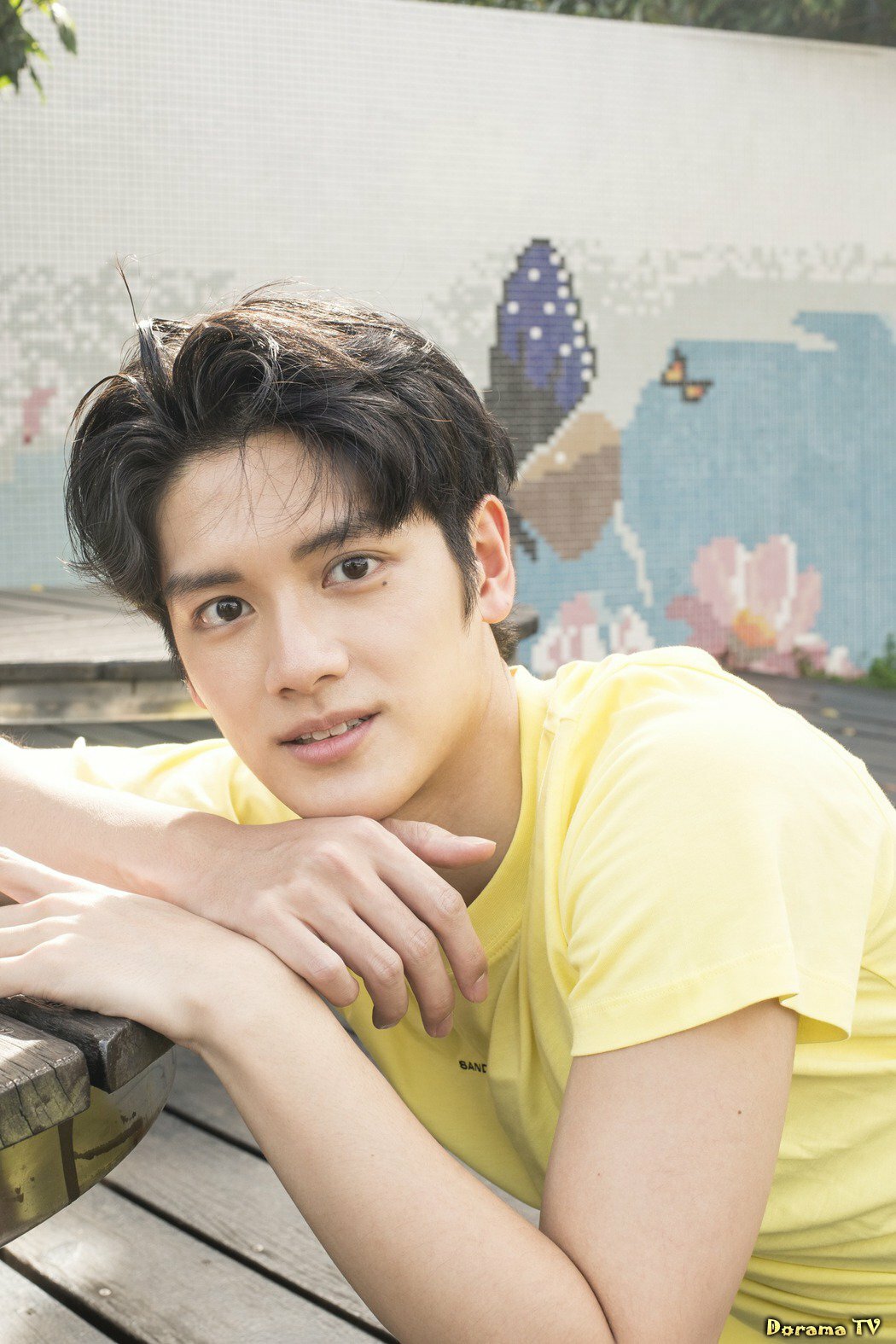 Актер Чан Шо Хан (Leo Zhang: Chang Shuo Hang), список дорам. Сортировка ...