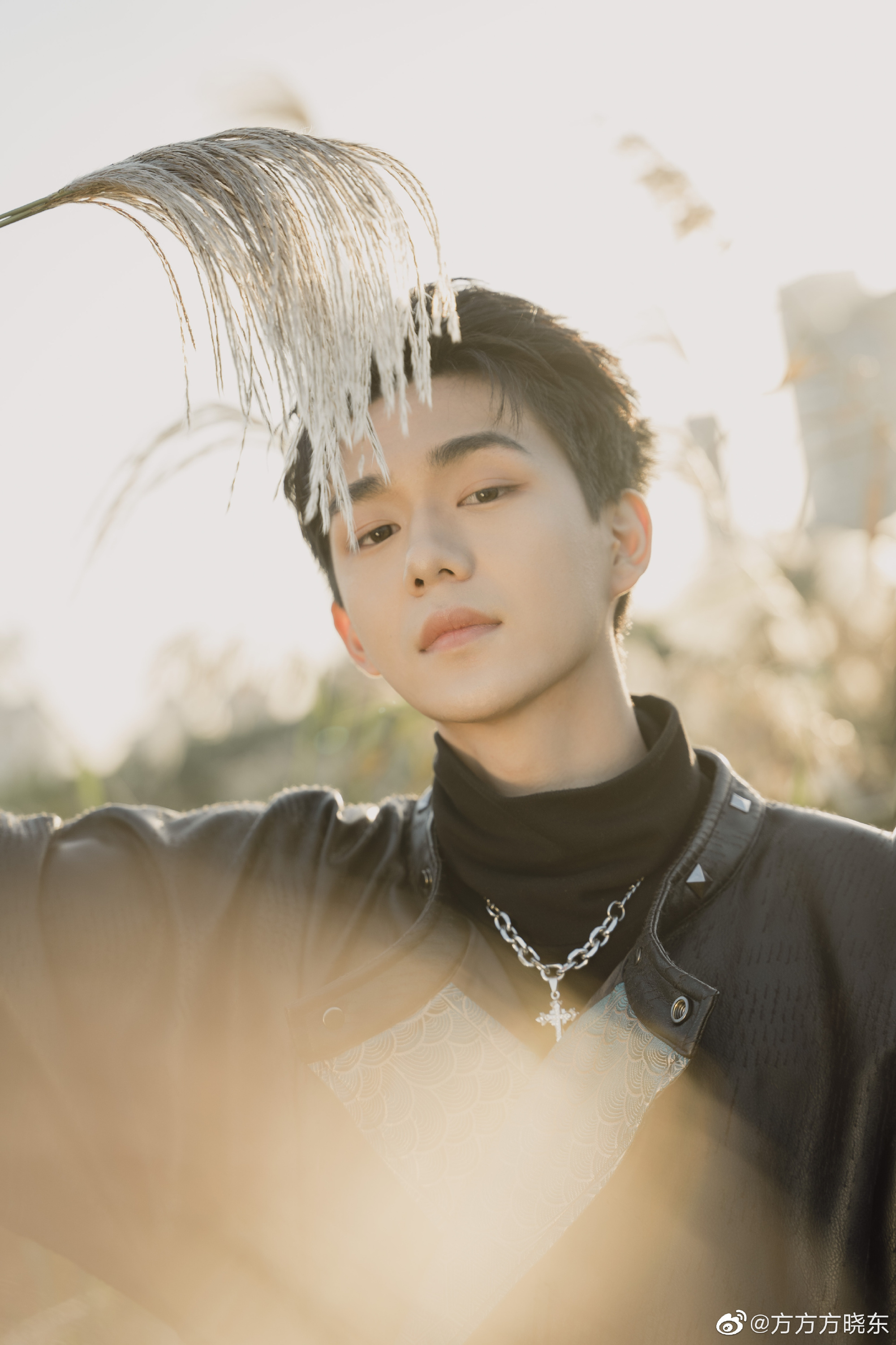 Актер Фан Сяо Дун (Fang Xiao Dong: 方晓东), список дорам. Сортировка по ...