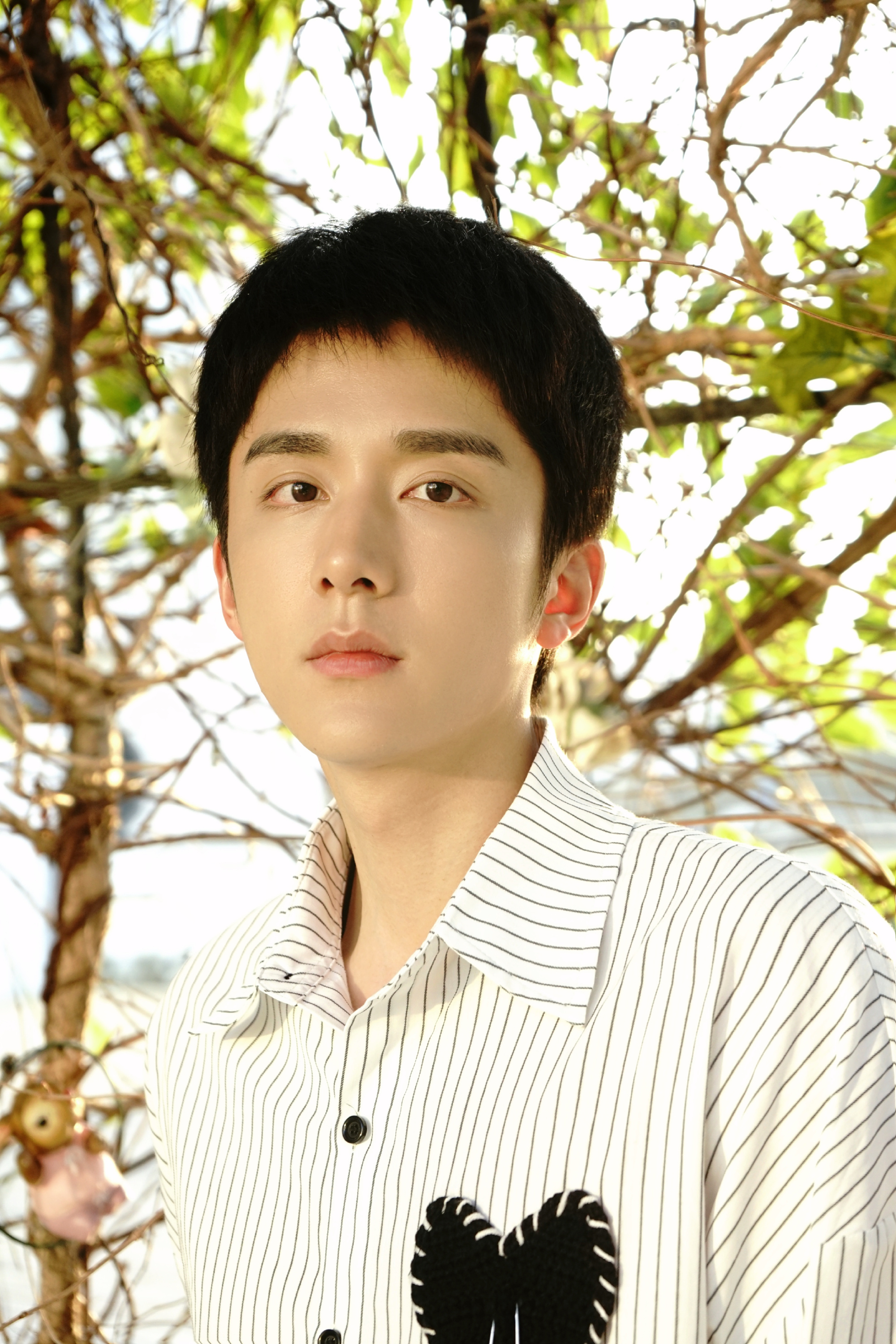 Актер Чжан Синь Чэн (Steven Zhang: Zhang Xin Cheng), список дорам ...