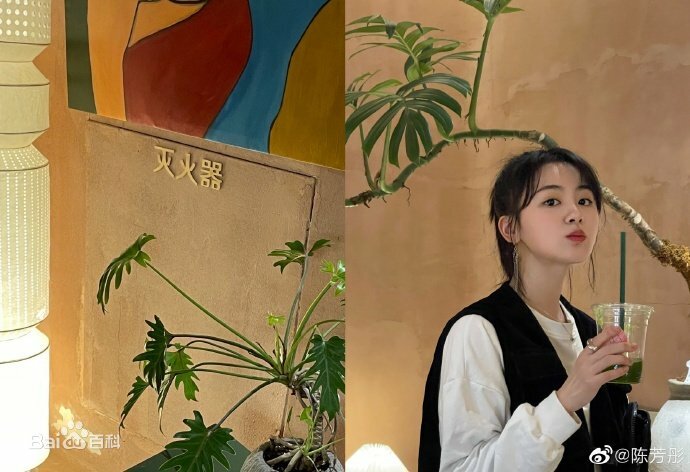 Актер Чэнь Фан Тун (Dawn Chen: Chen Fang Tong), список дорам ...