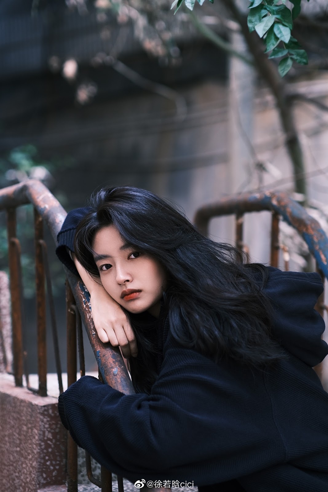 Актер Сюй Жо Хань (Xu Ruo Han: 徐若晗), список дорам. Сортировка по году ...