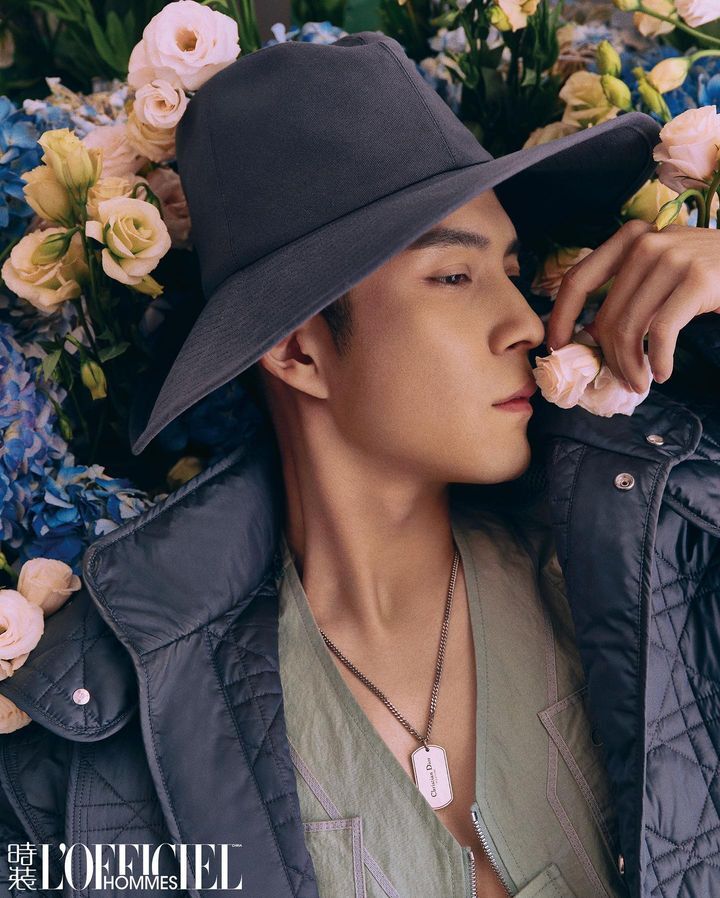 Актер Хань Дун Цзюнь (Elvis Han: Han Dong Jun), список дорам ...