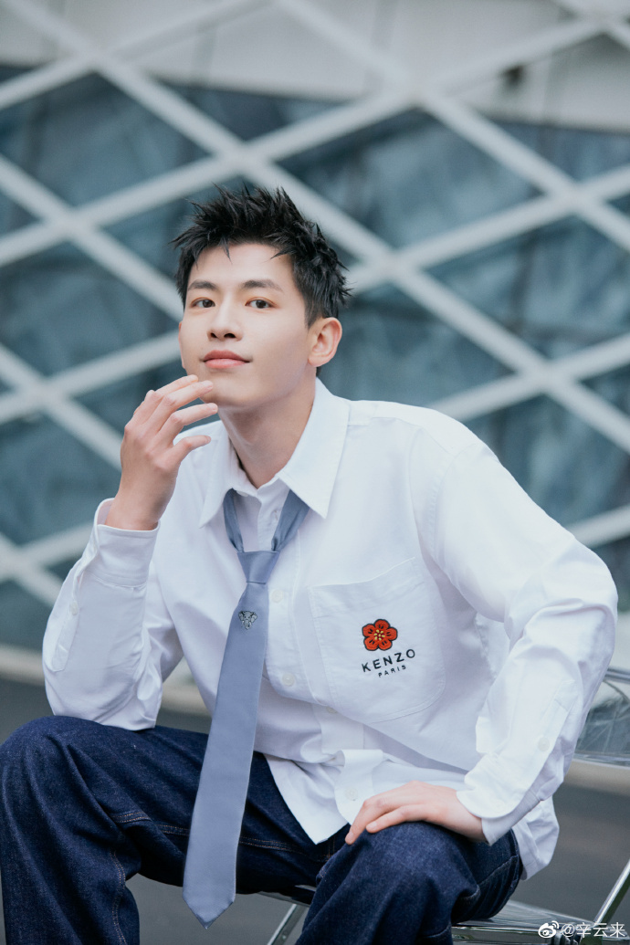 Актер Синь Юнь Лай (Xin Yun Lai: 辛云来), список дорам. Сортировка по году ...