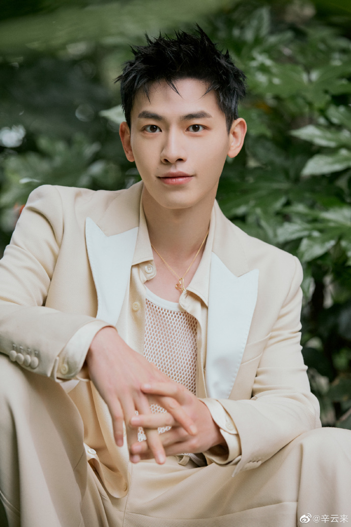 Актер Синь Юнь Лай (Xin Yun Lai: 辛云来), список дорам. Сортировка по году ...