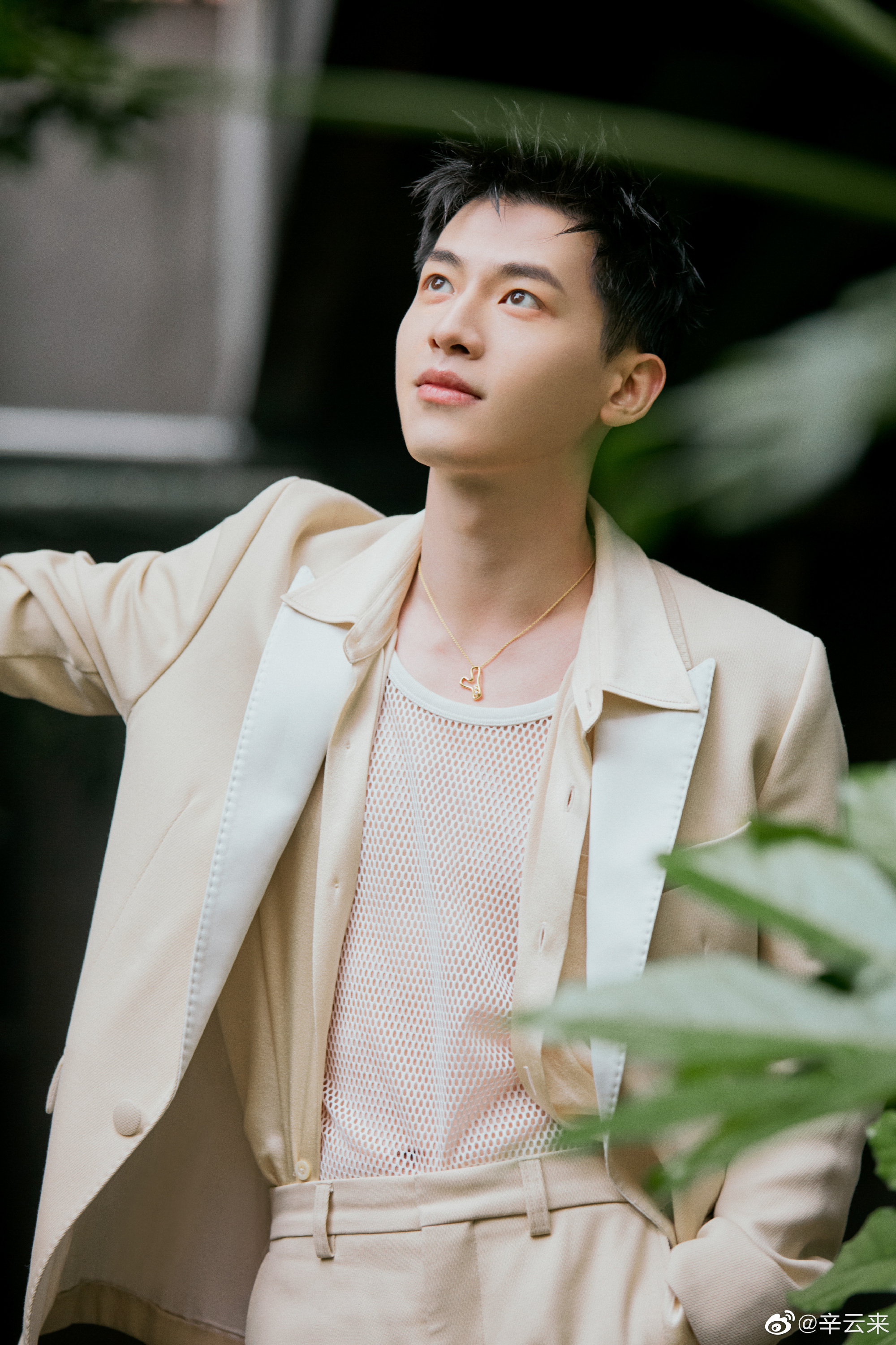 Актер Синь Юнь Лай (Xin Yun Lai: 辛云来), список дорам. Сортировка по году ...