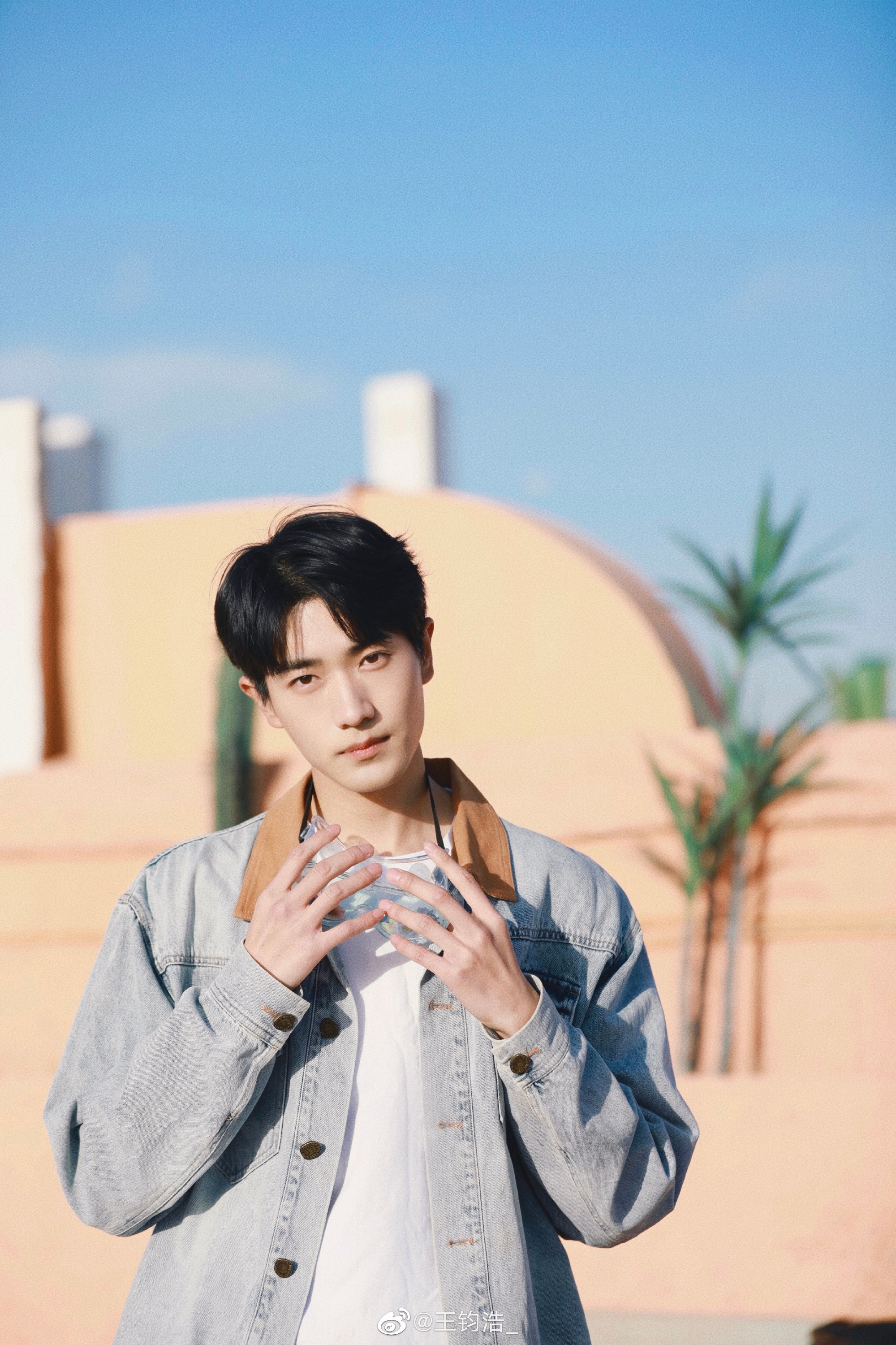 Актер Ван Цзюнь Хао (Wang Jun Hao: 王钧浩), список дорам. Сортировка по году написания - DoramaTV