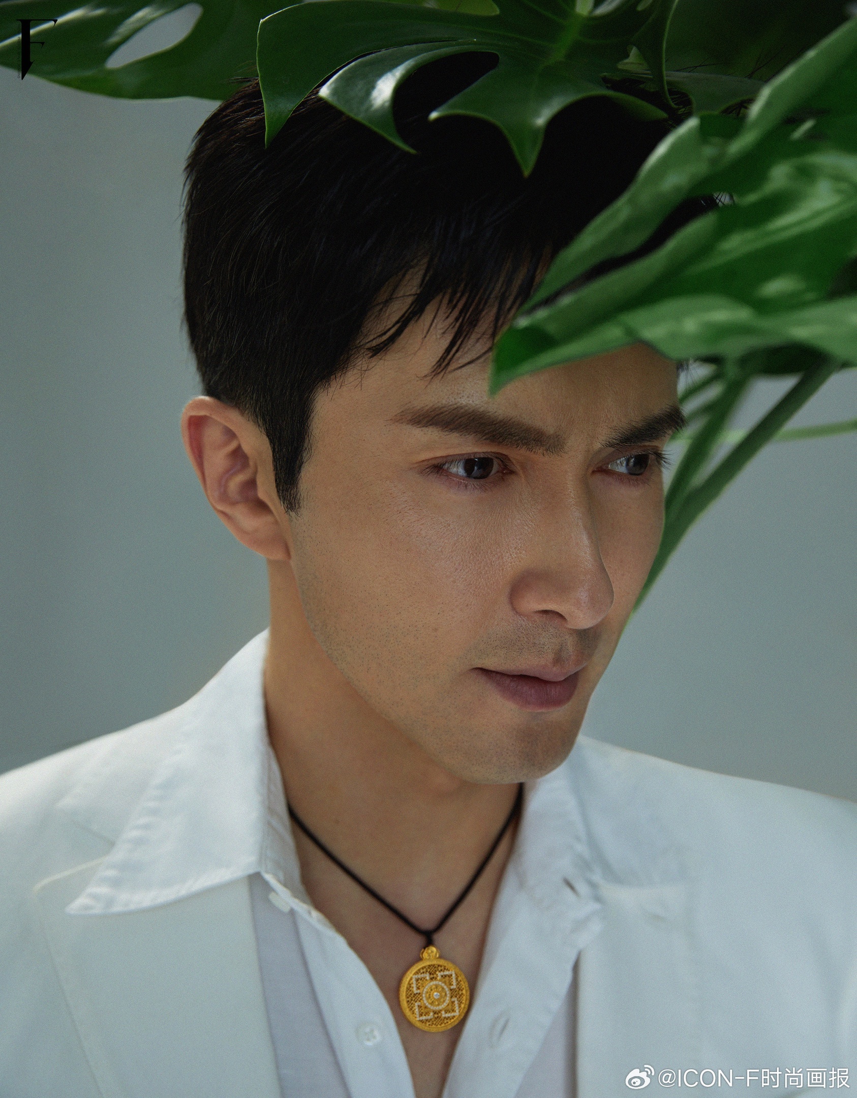 Актер Гао Вэй Гуан (Vengo Gao: Gao Wei Guang), список дорам. Сортировка ...