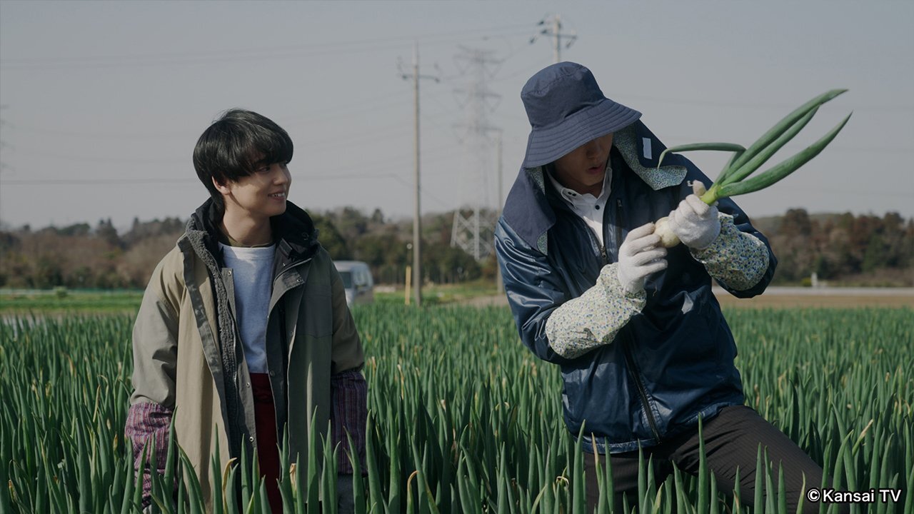 Смотреть бесплатно дораму Голый ужин (Naked Dining ~Love, Life and ...