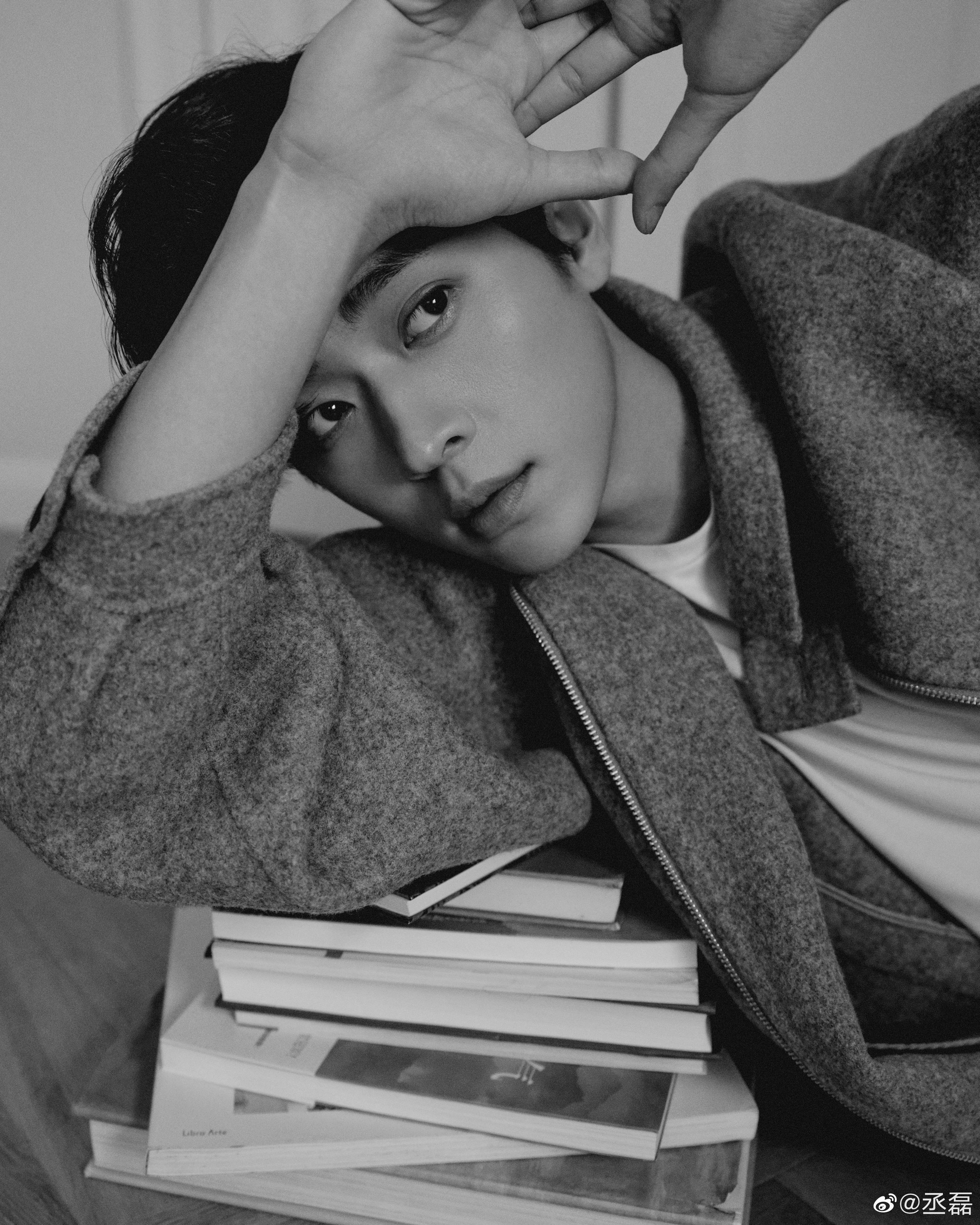 Актер Чэн Лэй (Ryan Cheng: Cheng Lei), список дорам. Сортировка по году ...