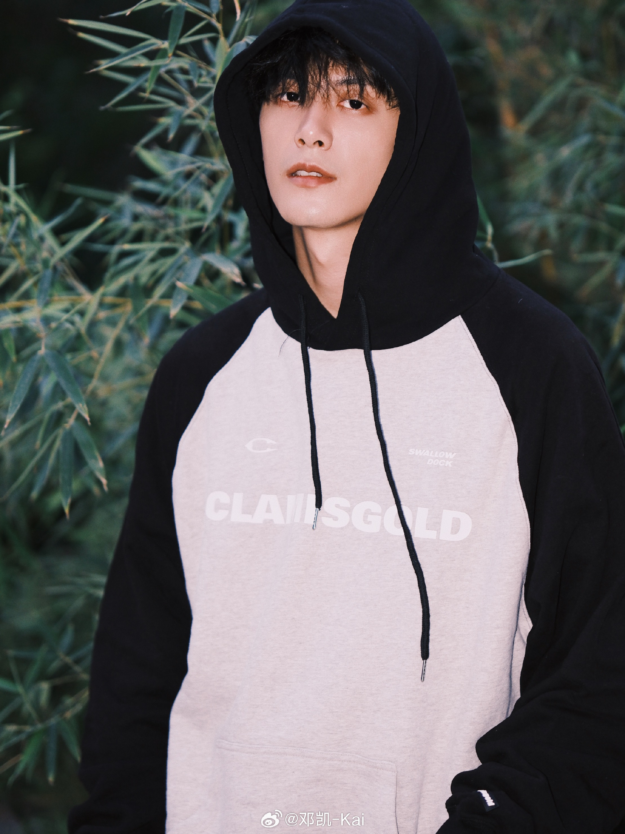 Актер Дэн Кай (Deng Kai: 邓凯), список дорам. Сортировка по году ...