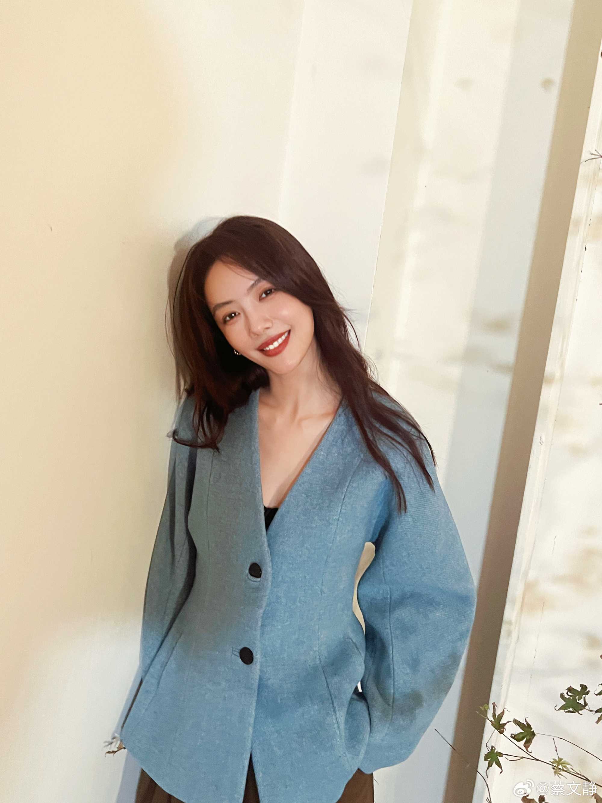 Актер Цай Вэнь Цзин (Elvira Cai: Cai Wen Jing), список дорам ...